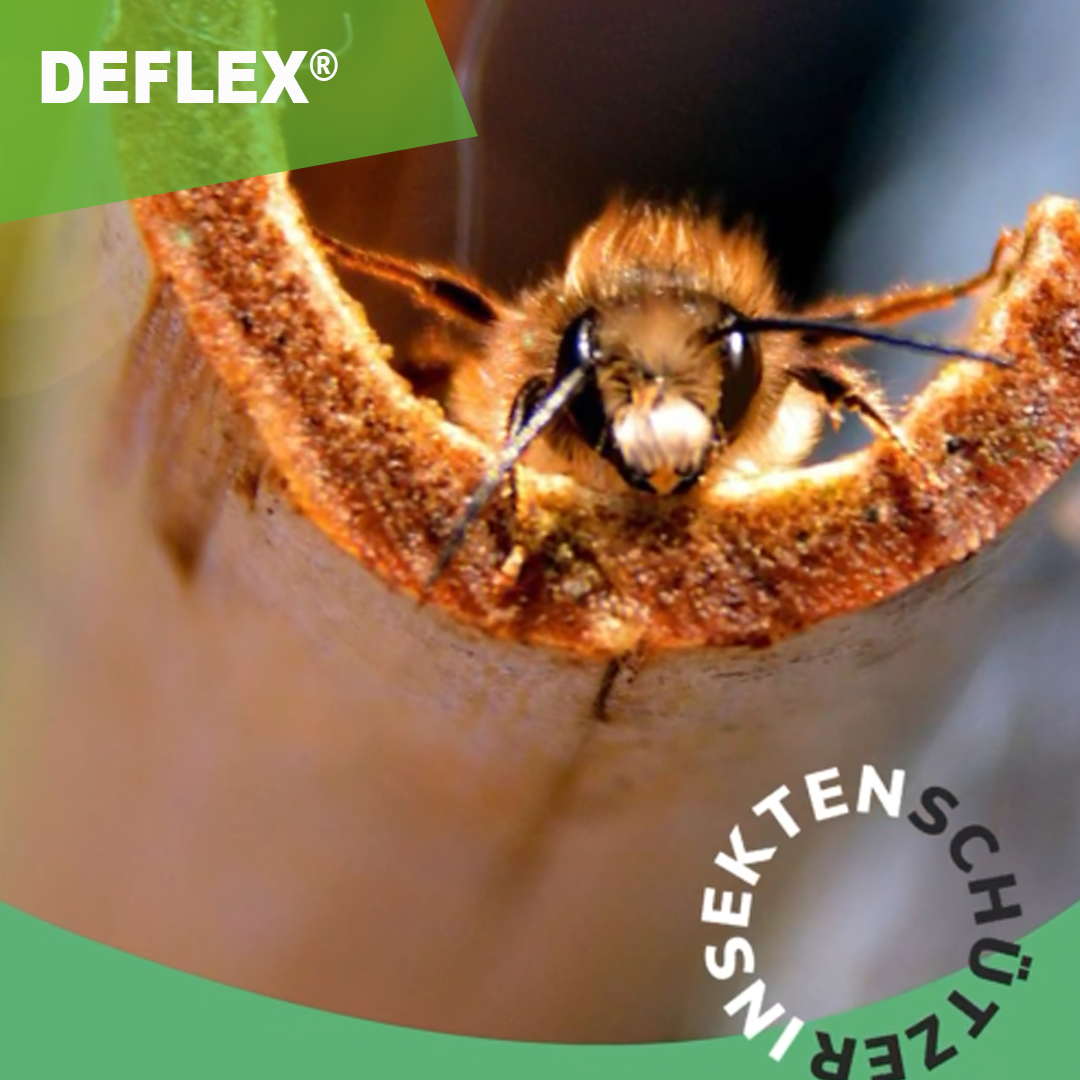 Insect Repellent Competition 2024 - DEFLEX-Dichtsysteme® GmbH